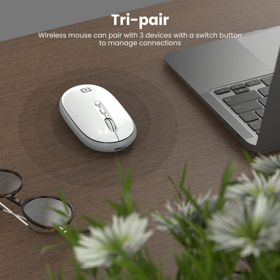 Buy Portronics Toad II Wireless Mouse for Laptop & PC with Type C port